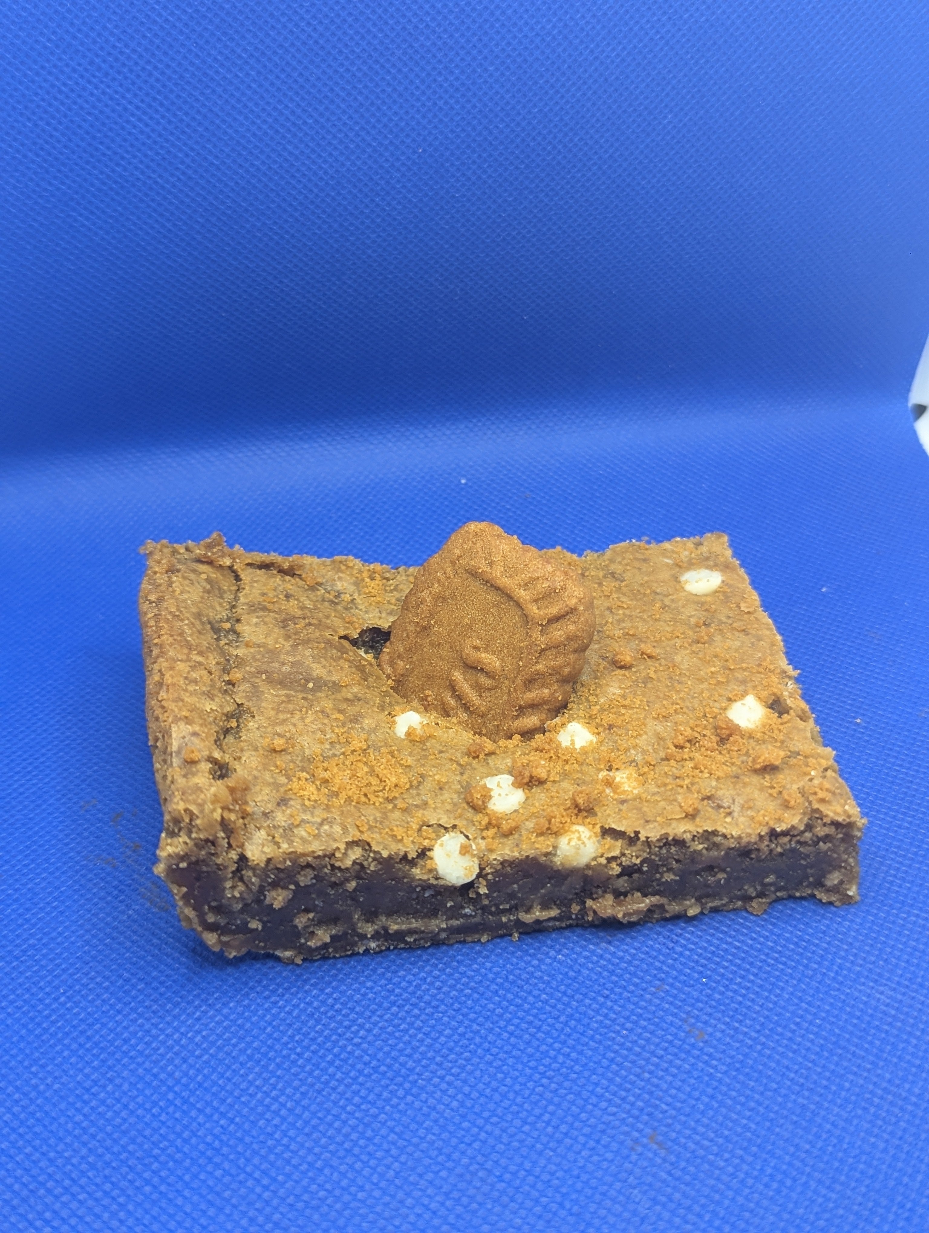 Biscoff Blondie – Plant Batter Bakery + Kitchen